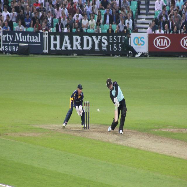 Bat Ball Stumps Detection Object Detection Dataset By Crack Detection