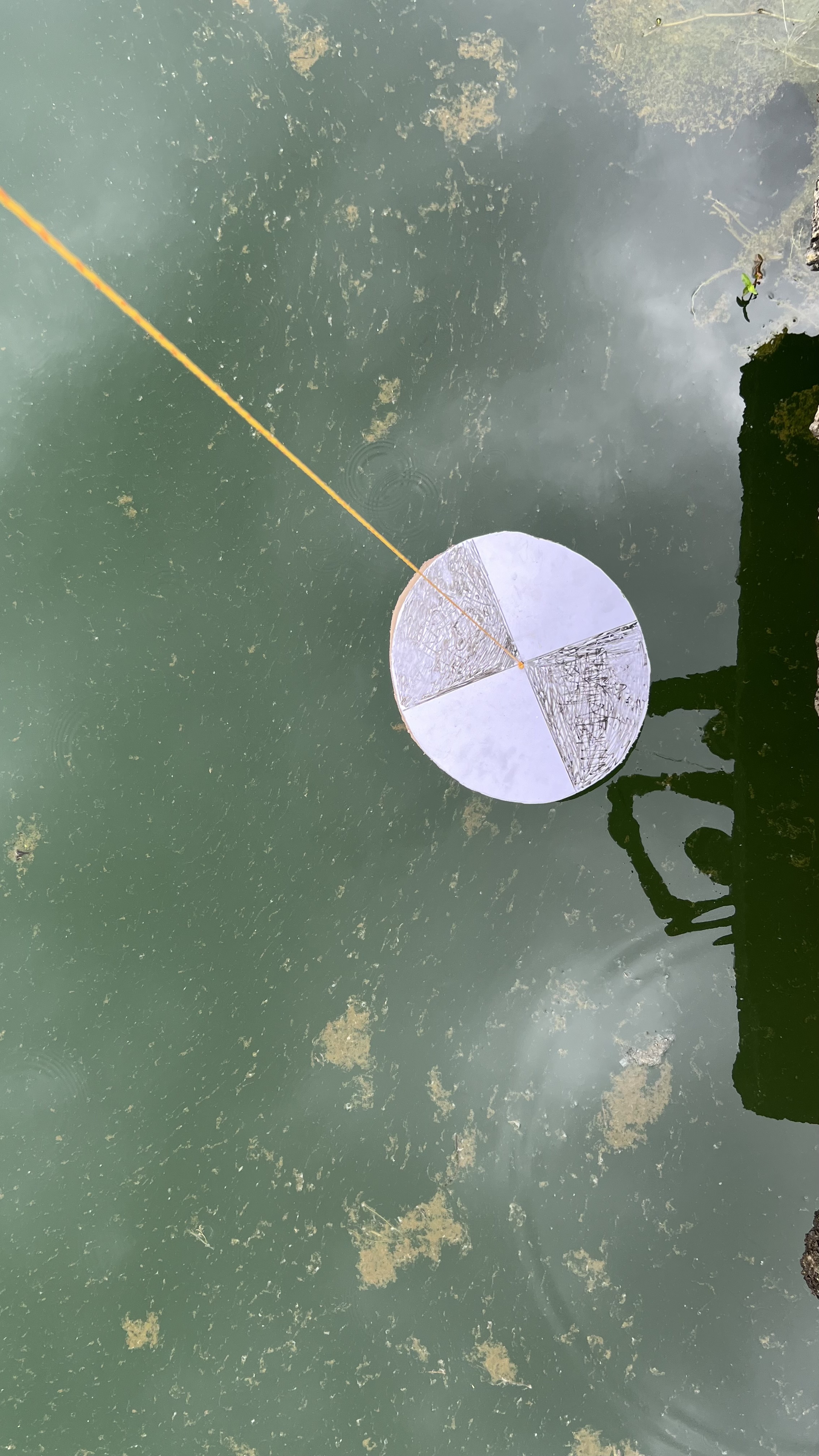 class:secchi-disk | Roboflow Universe Search