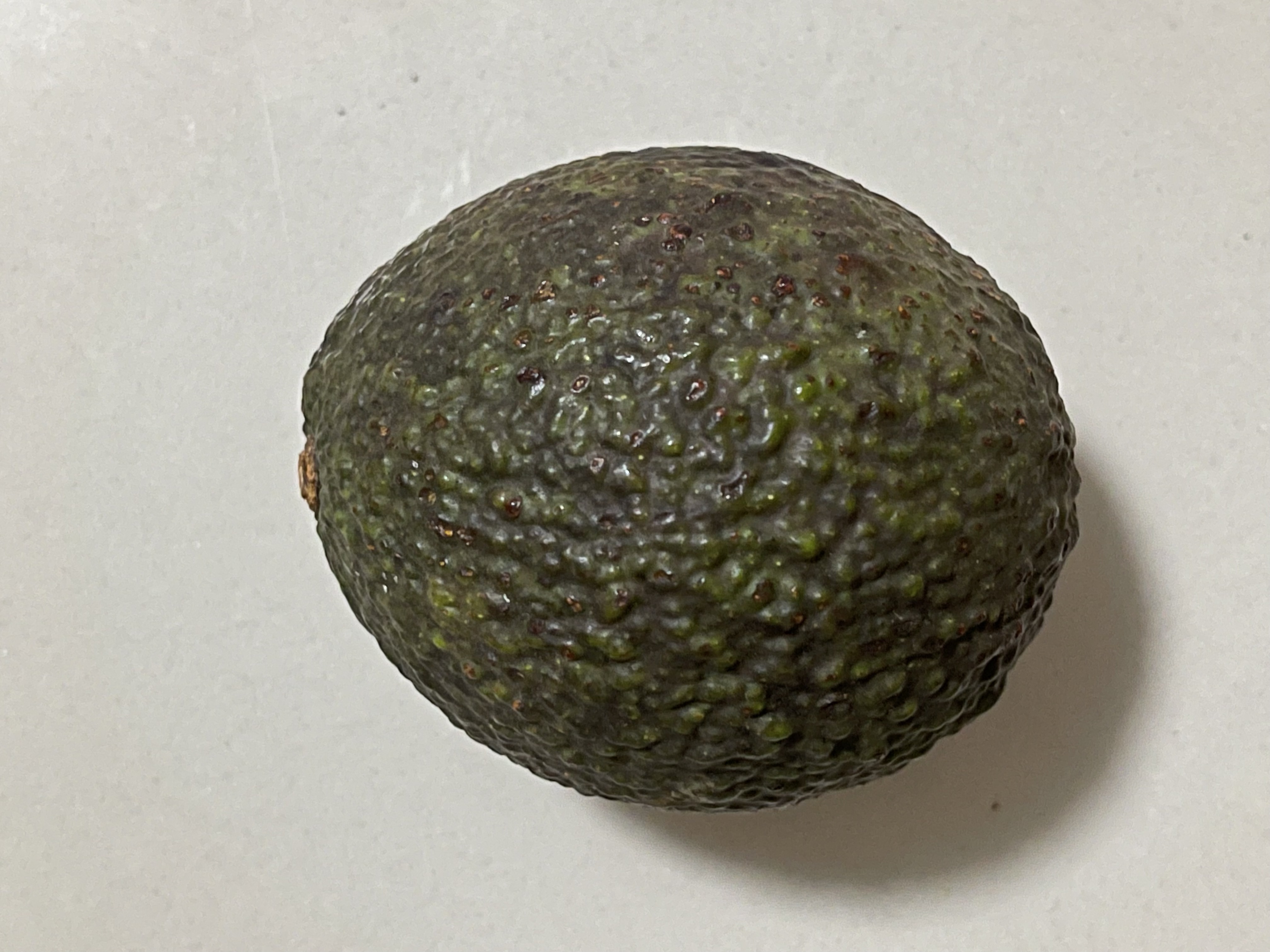 Avocado Detector V1 Object Detection Dataset And Pre Trained Model By