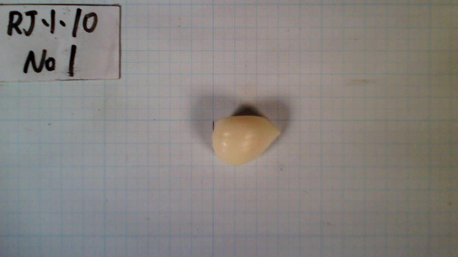 Garlic Detection Yolov8 Object Detection Dataset And Pre Trained Model By Roboflow