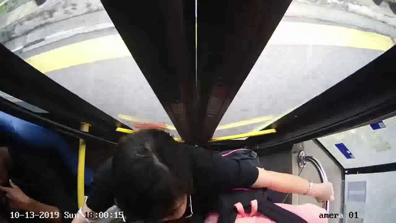 bpc-v4 Object Detection Dataset by Personal