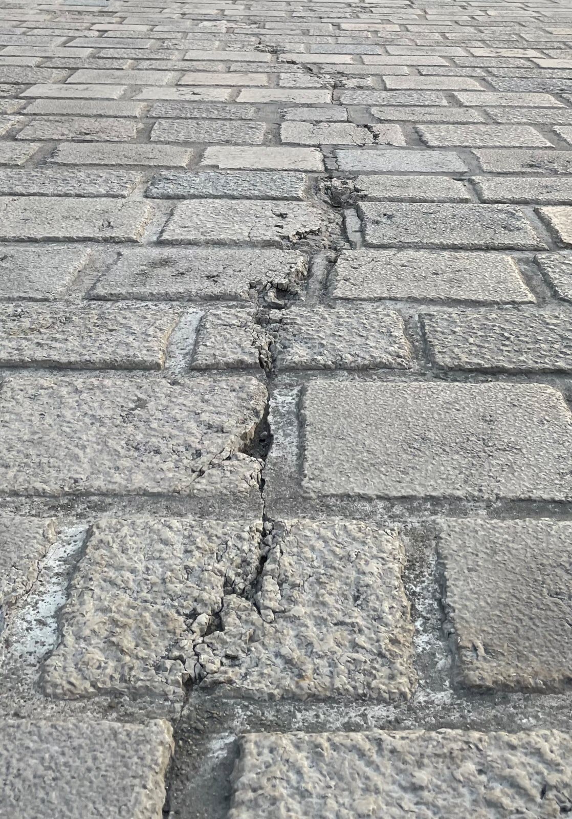 First (first-nx2pa) - Roboflow Universe