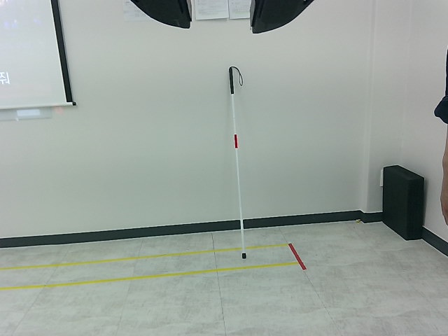 How to Use the White cane Object Detection API