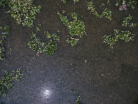 kulashekar - Roboflow Universe