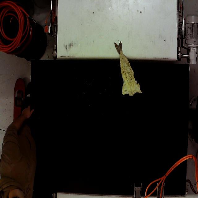 Fish Segmantation Detection Instance Segmentation Dataset and Pre-Trained Model by JonathanViddal