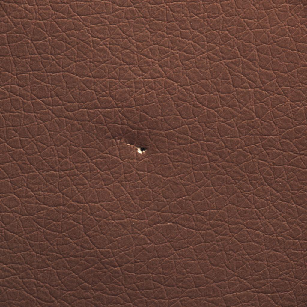 leather_defect_detection Instance Segmentation Dataset and Pre-Trained Model by computervision