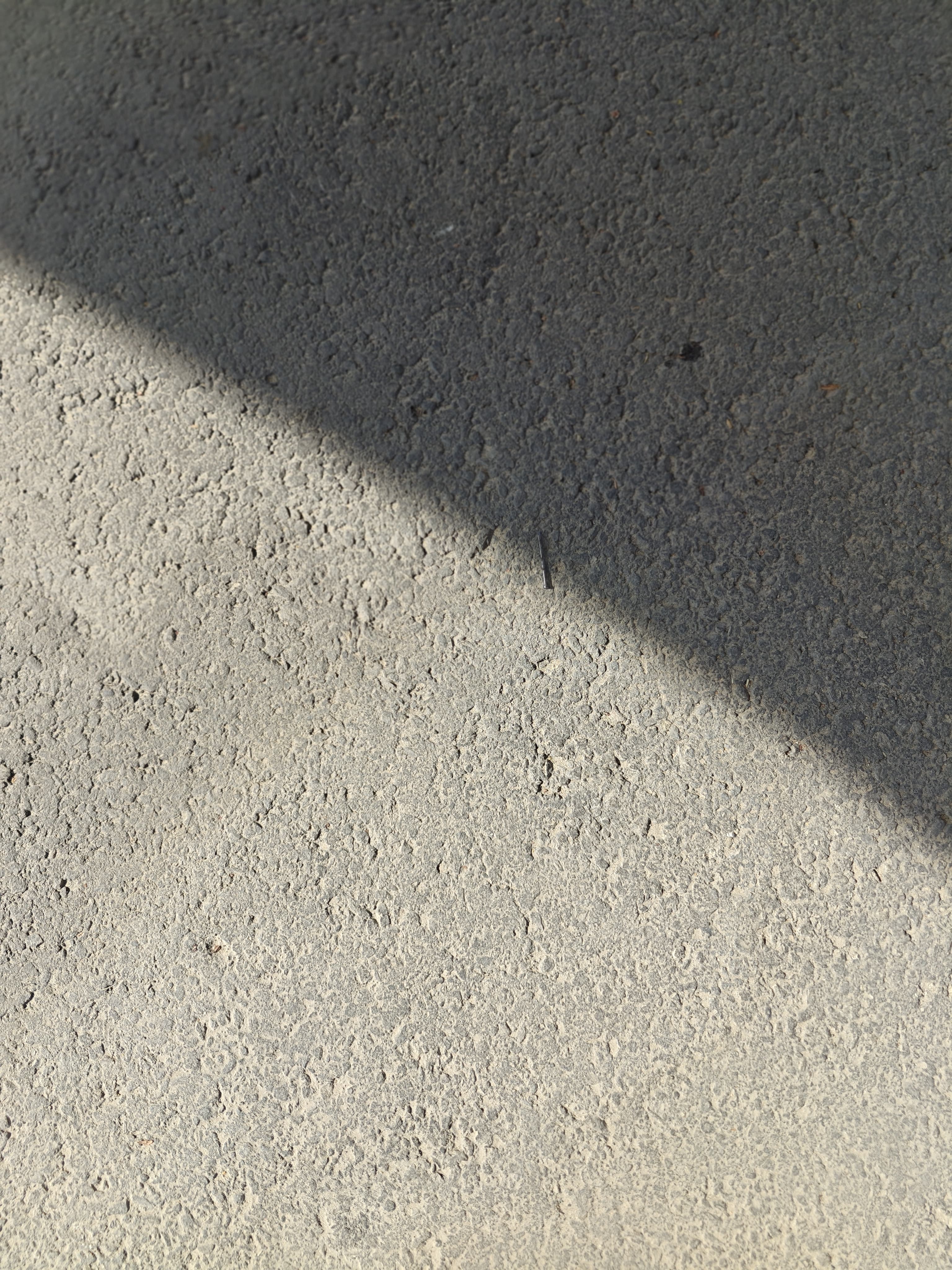 Nail_Detector Object Detection Model by NailDetector