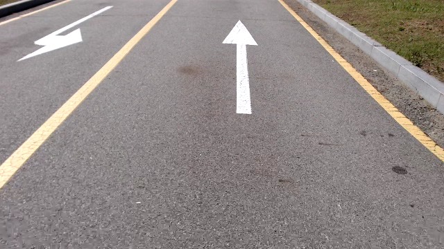 full_lane Instance Segmentation Dataset and Pre-Trained Model by lanepra