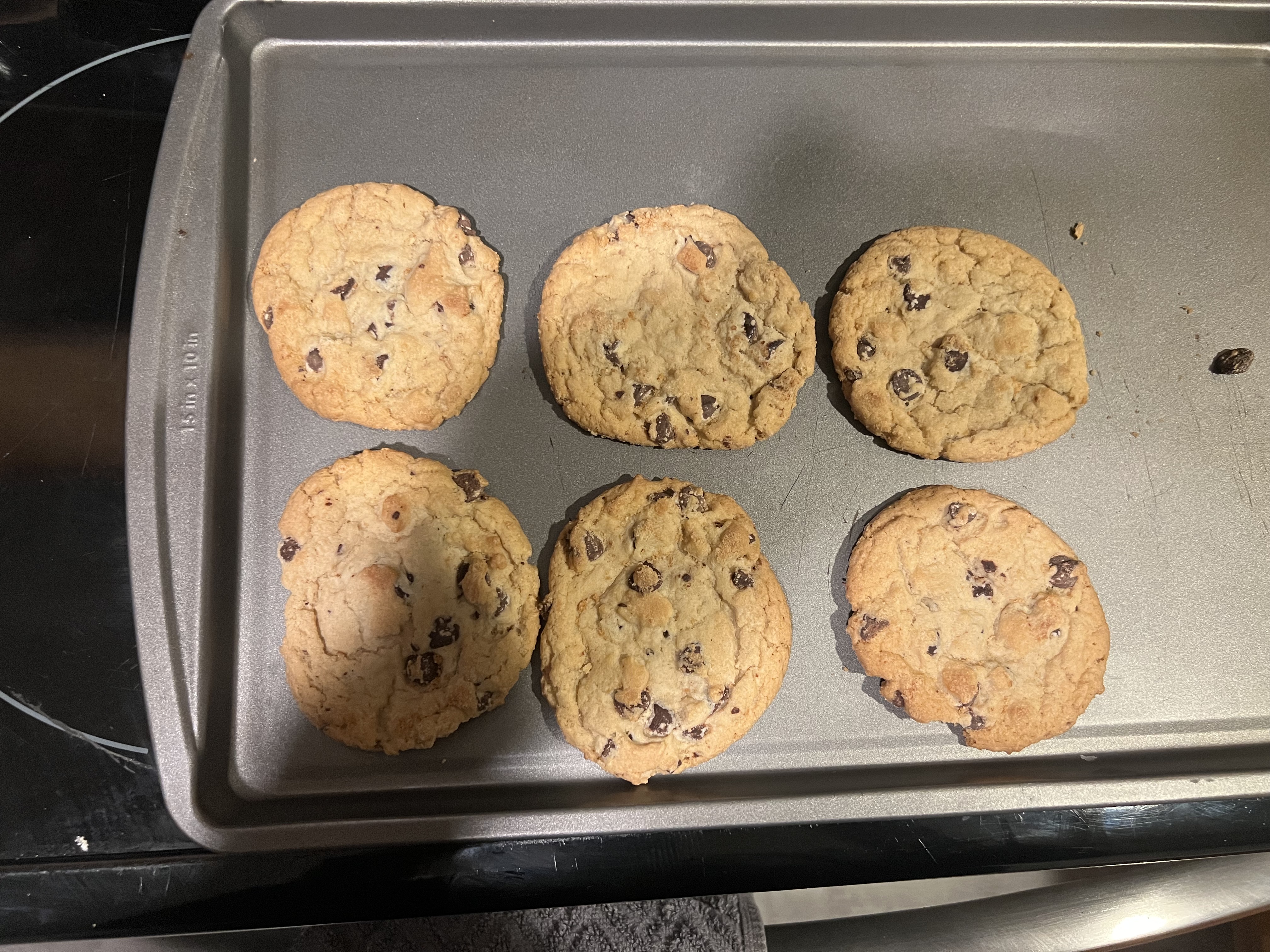 cookies yolov5 Object Detection Model by cookies