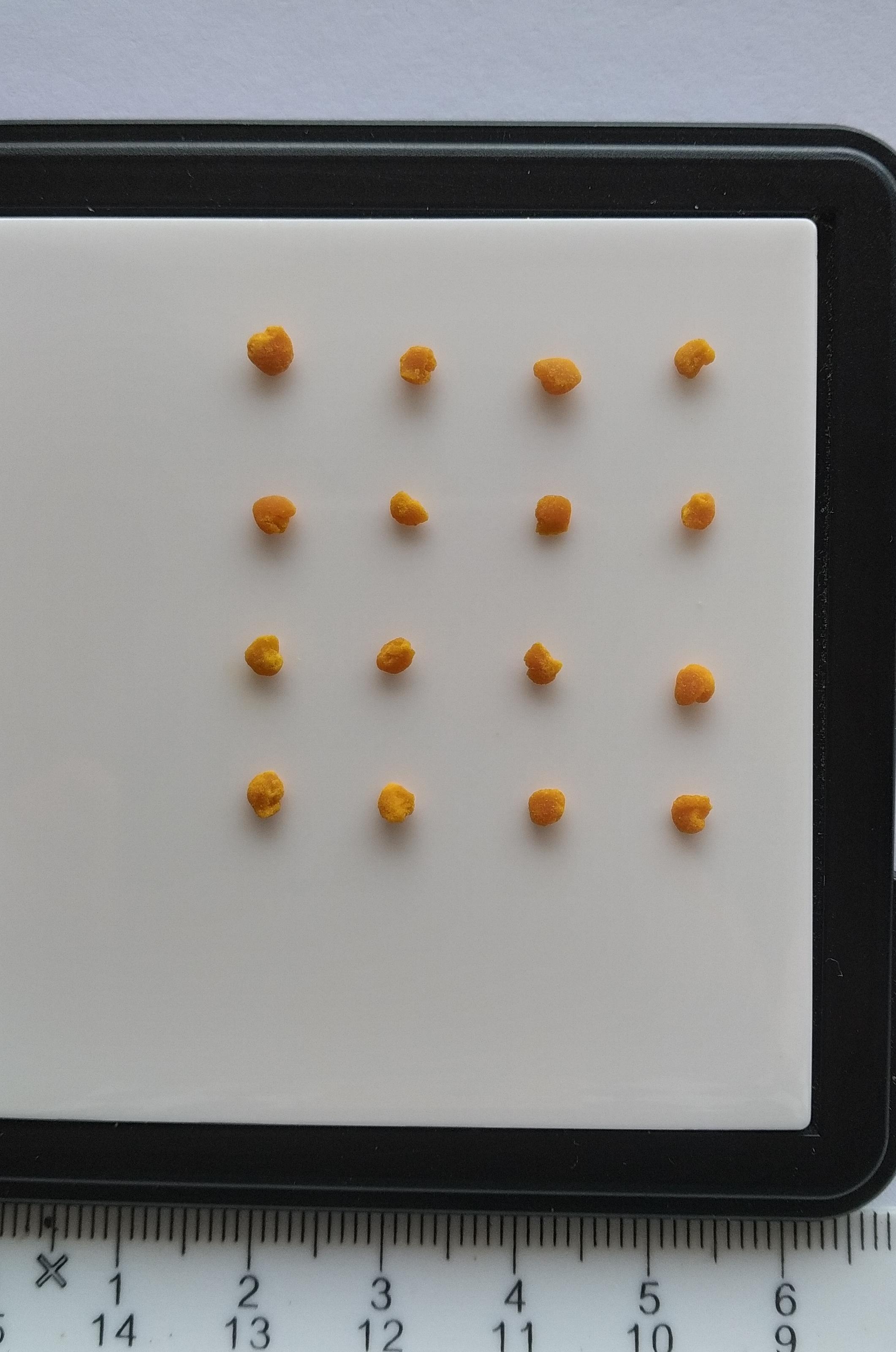 svoloi_train Object Detection Dataset by svoloi