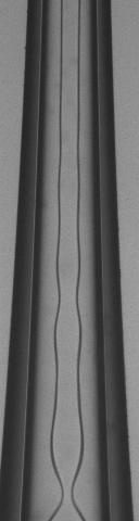 Glass capillary DE - Roboflow Universe