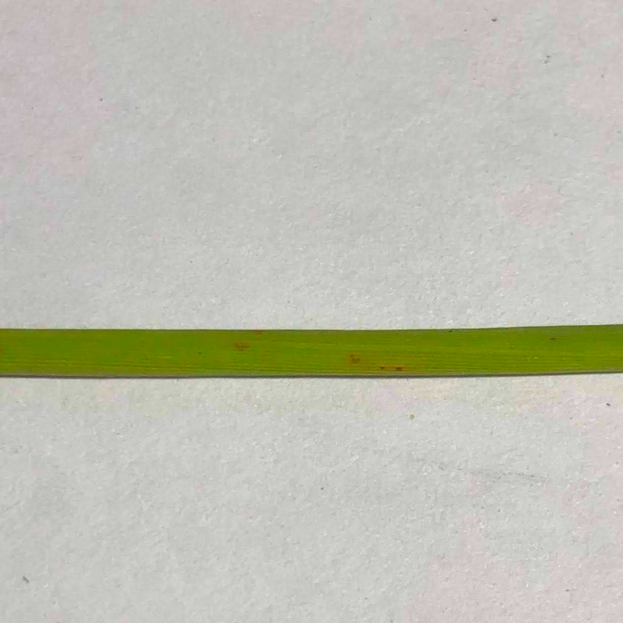 Data set collection - Roboflow Universe