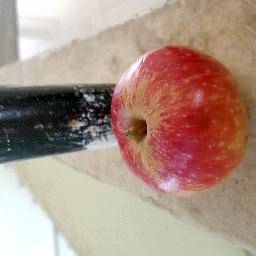 A2 Object Detection Dataset by Amol Wankhade