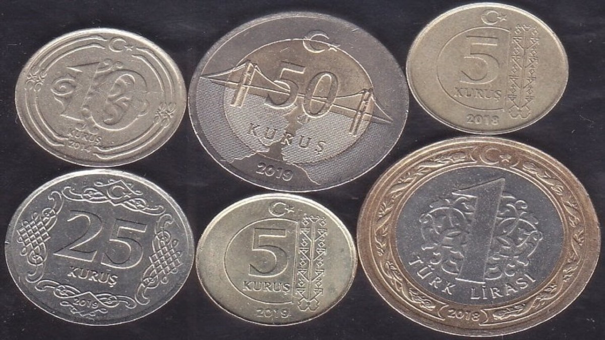 How to Use the Turkish Coins Object Detection API