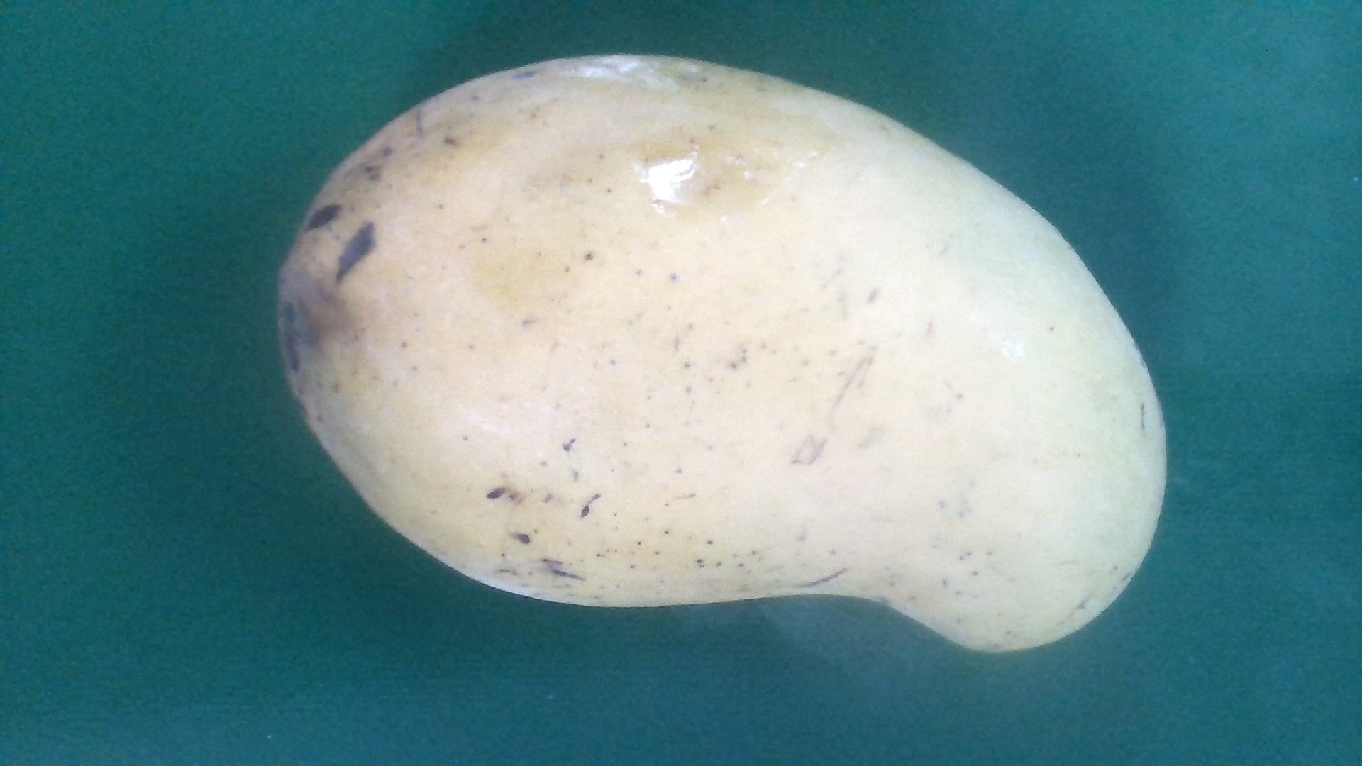 KMUTNB (kmutnb-dqffb) - Roboflow Universe