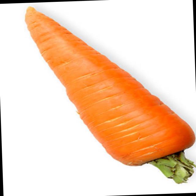 vegetables Object Detection Model by Food