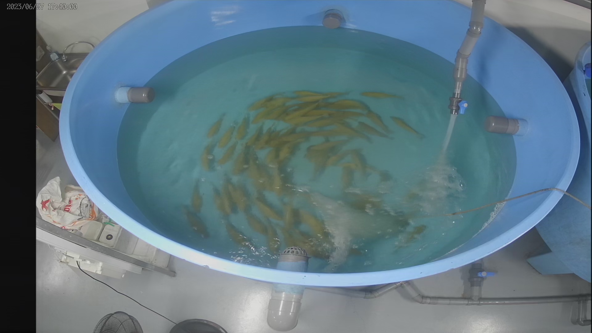 Fish Location Object Detection Dataset and Pre-Trained Model by Yolo