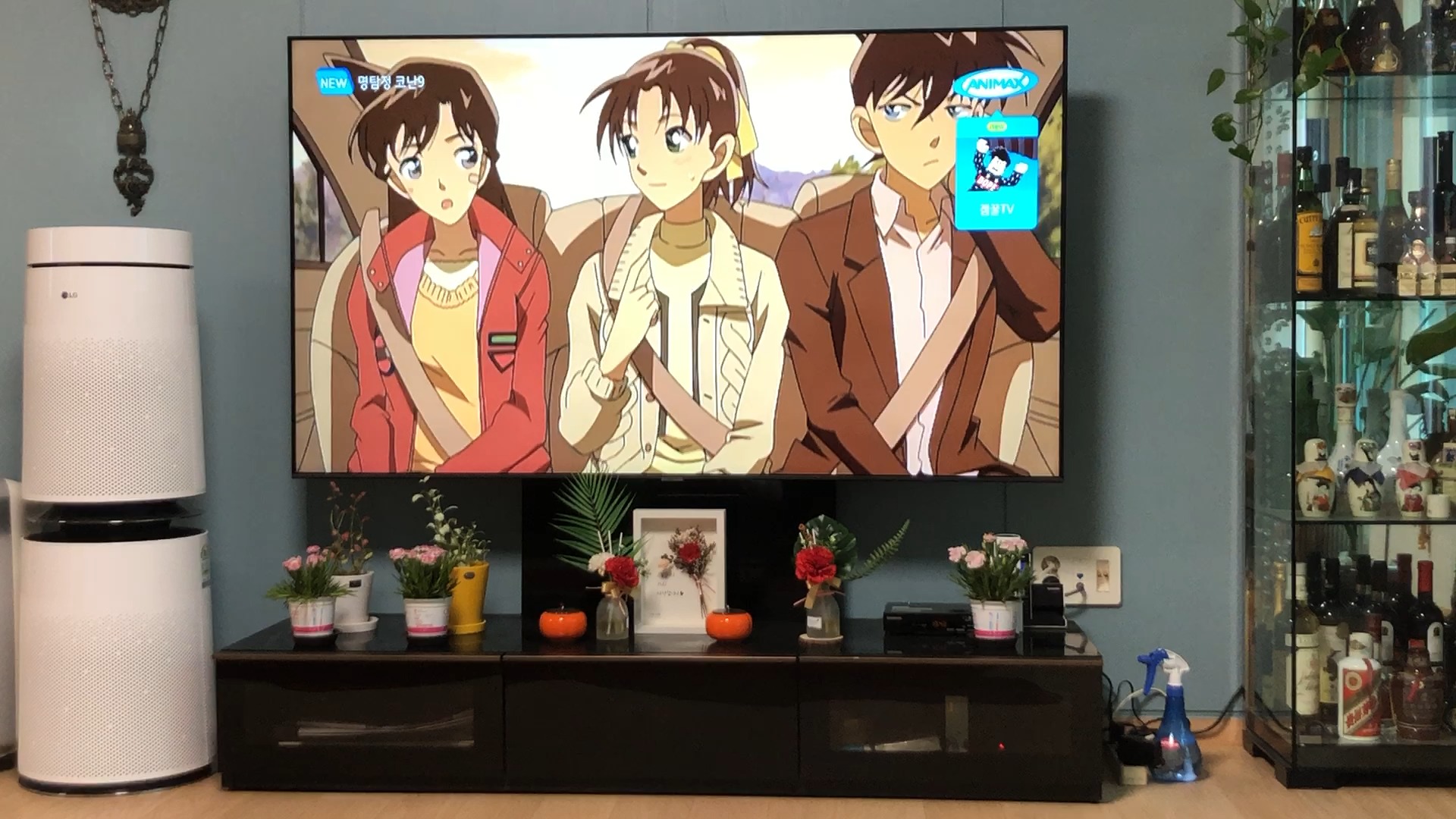 conan detection Object Detection Dataset by hallym