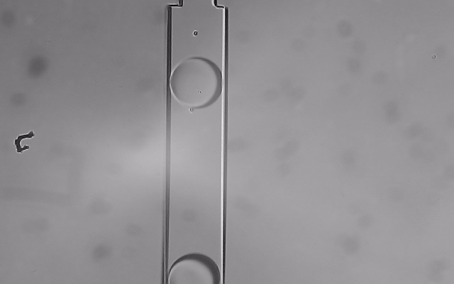 microfluidics droplet Object Detection Dataset by microfluidics test