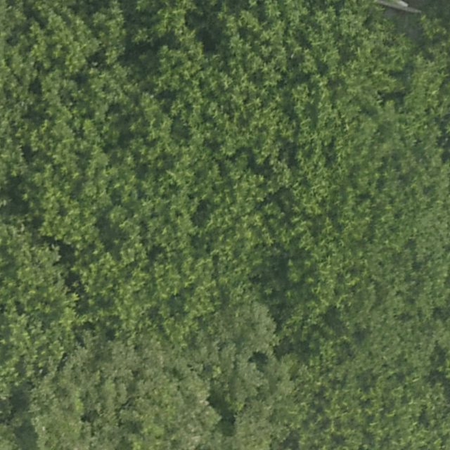 Segmentasi Mobil 2 Instance Segmentation Dataset by Yolo Deep Learning