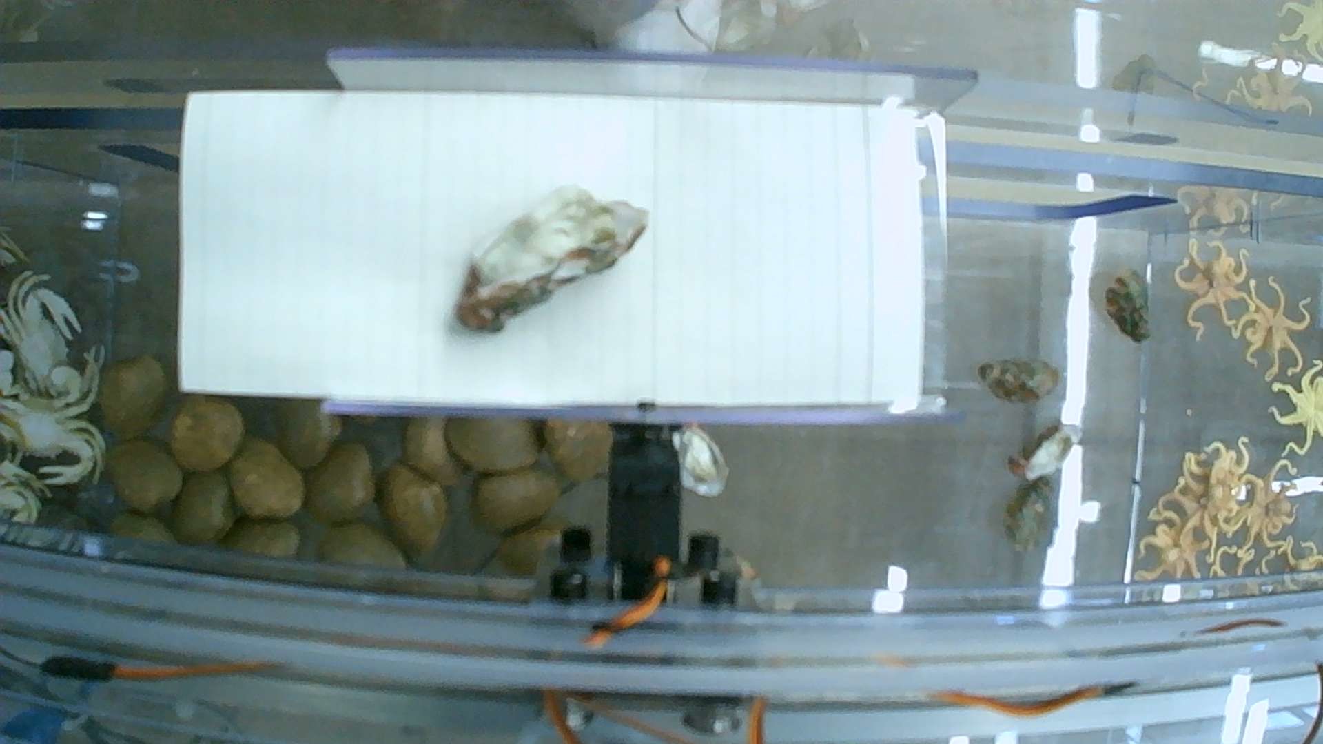 Seosan AI - Roboflow Universe