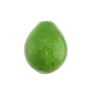 Detection avocado Instance Segmentation Dataset by Norberto Molina