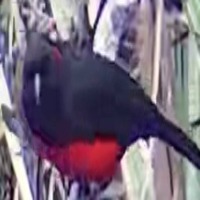 Top Rustica Datasets and Models | Roboflow Universe