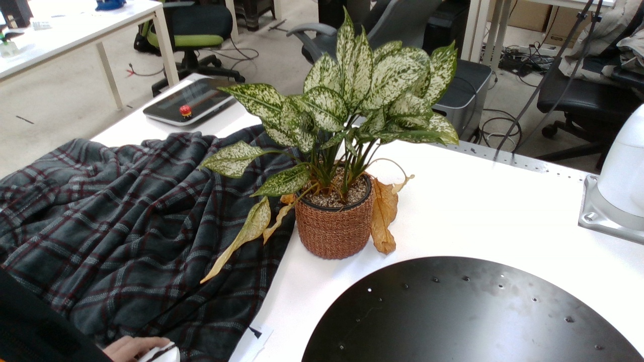 plant farm real s Instance Segmentation Dataset by capstone