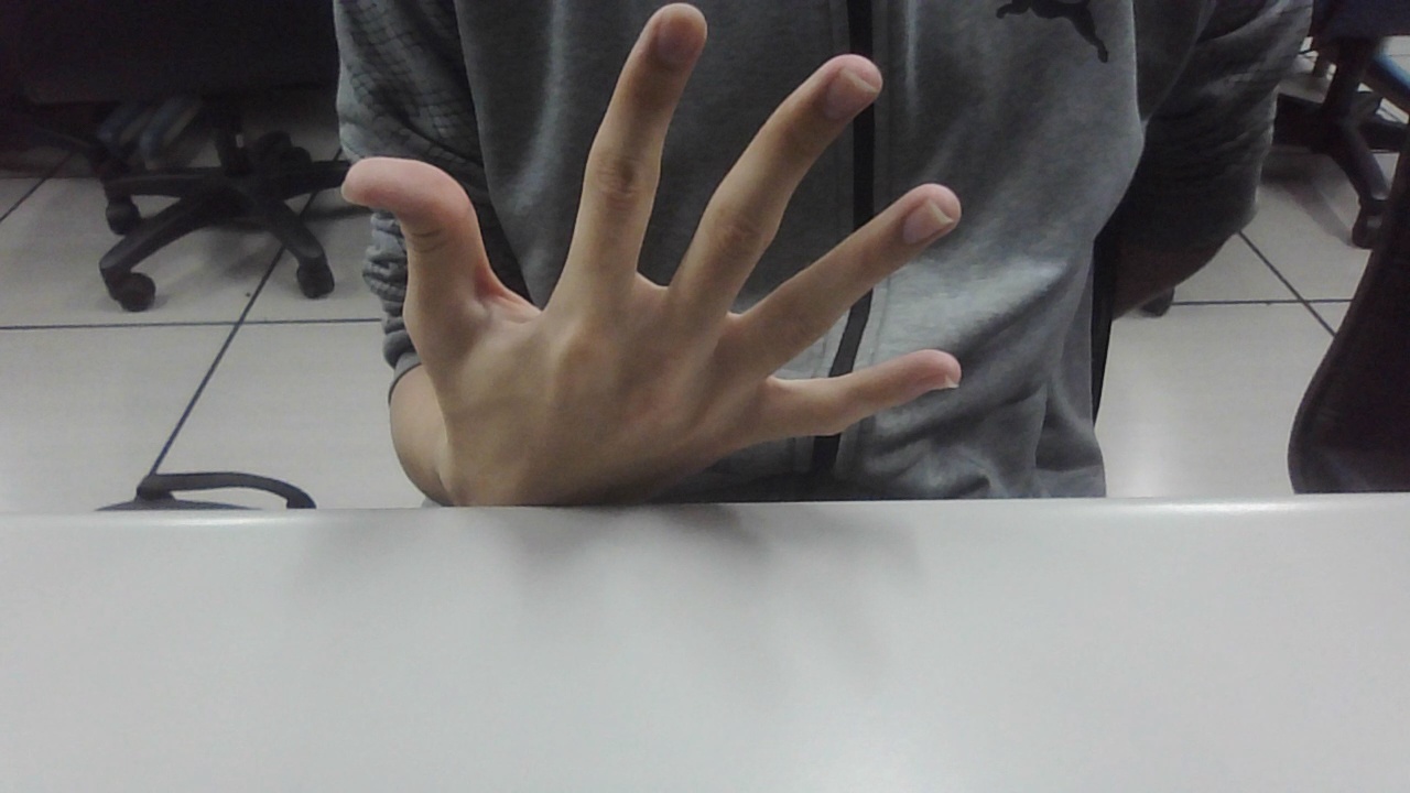 hand gesture Object Detection Dataset and Pre-Trained Model by Pikachu Place