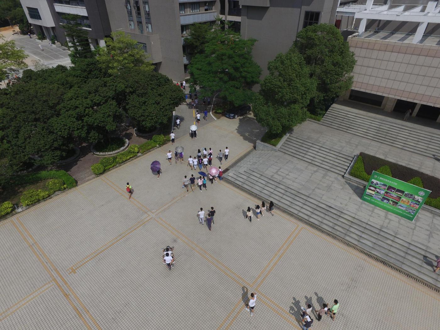 Dense Crop Detection Object Detection Dataset By Ust