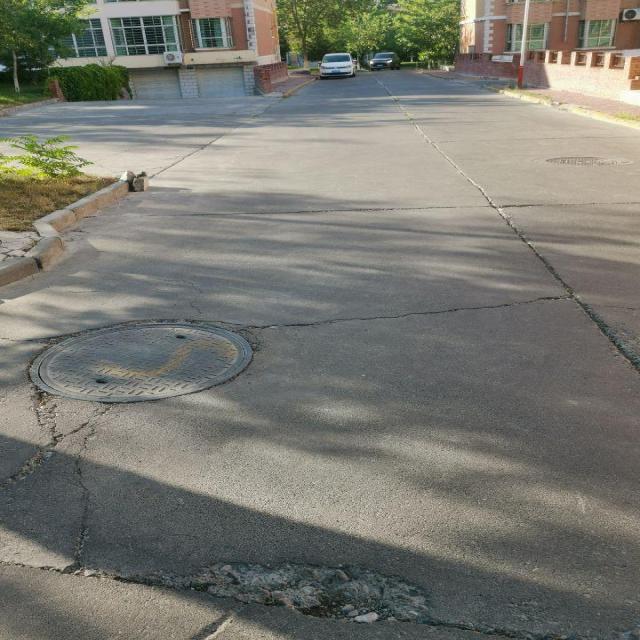 How to Use the potho Instance Segmentation API