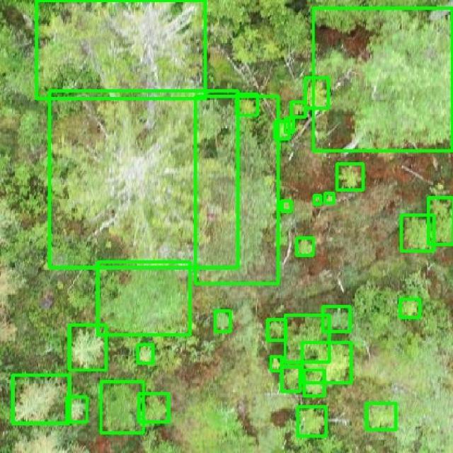 aerotree Object Detection Dataset by Startup Reconhecimento