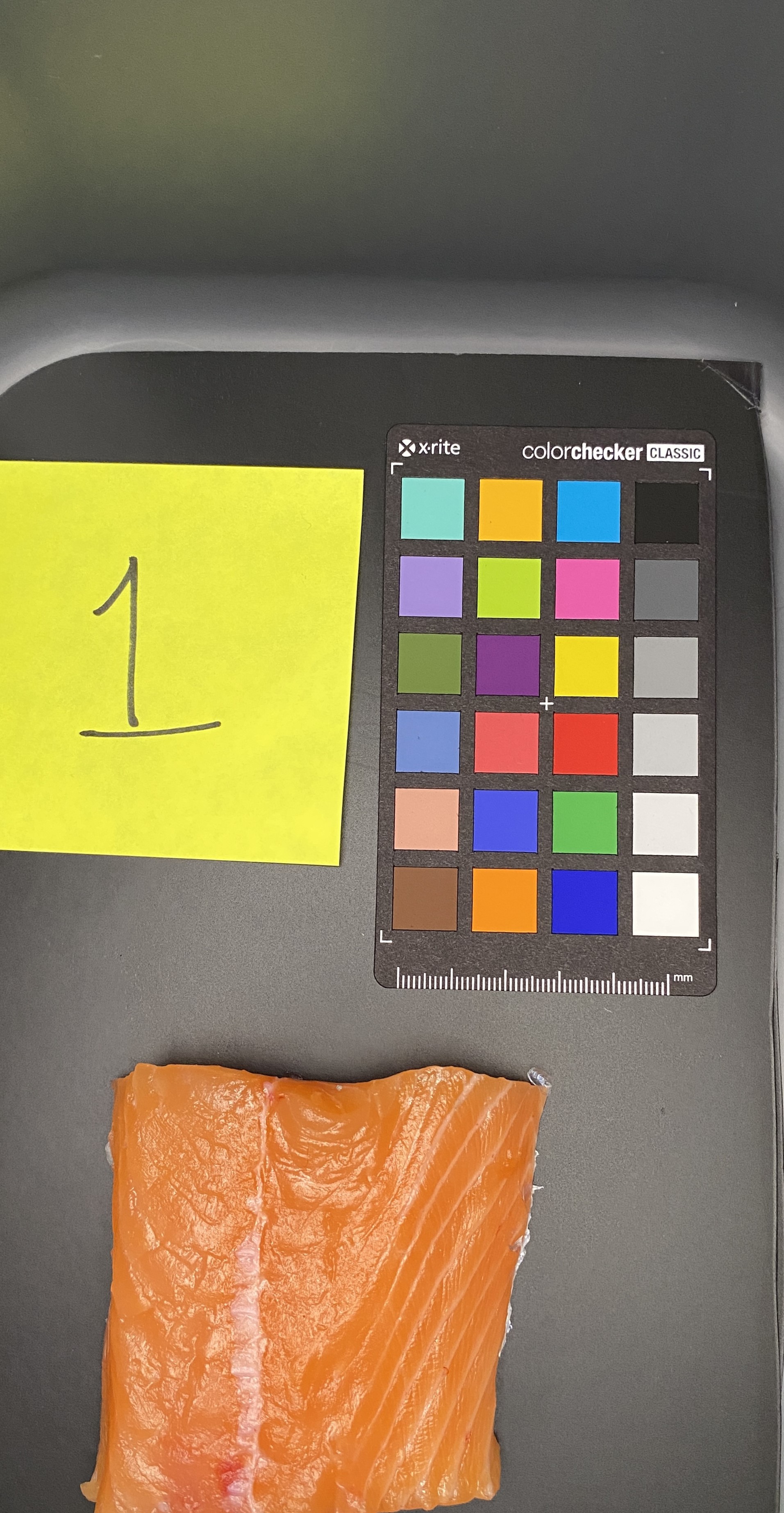 Fish Object Detection Dataset and Pre-Trained Model by Fisk