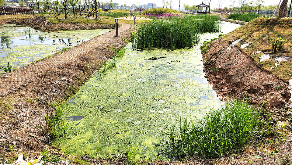 environment - Roboflow Universe