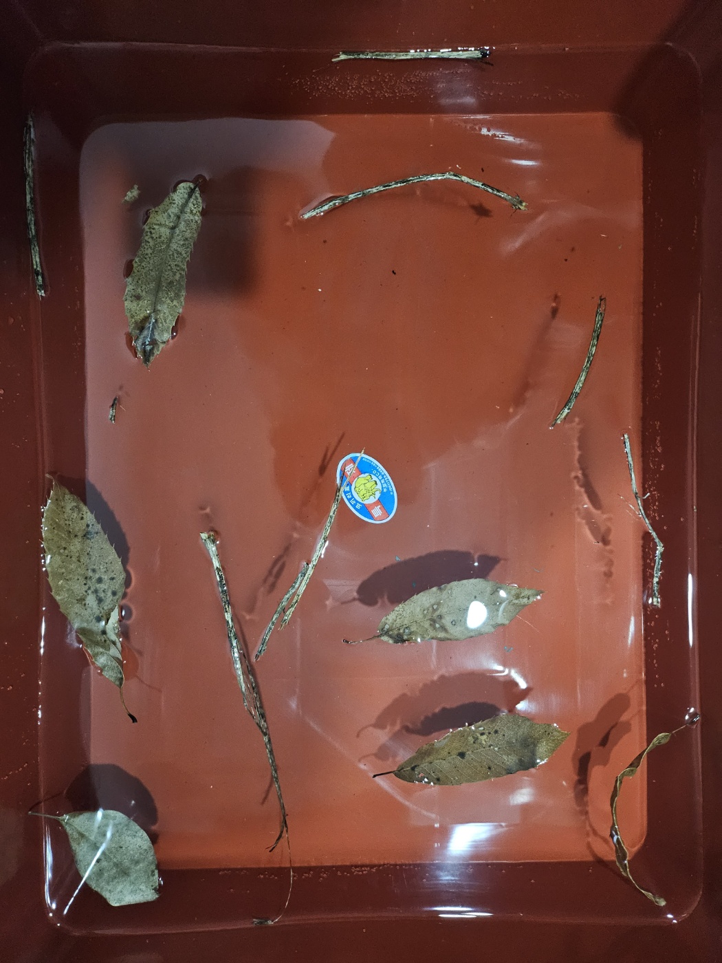 How to Use the Floating things Object Detection API