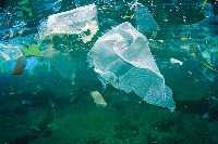 coding (coding-jpmod) - Roboflow Universe