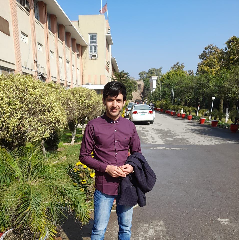 Face Re Object Detection Dataset by My project