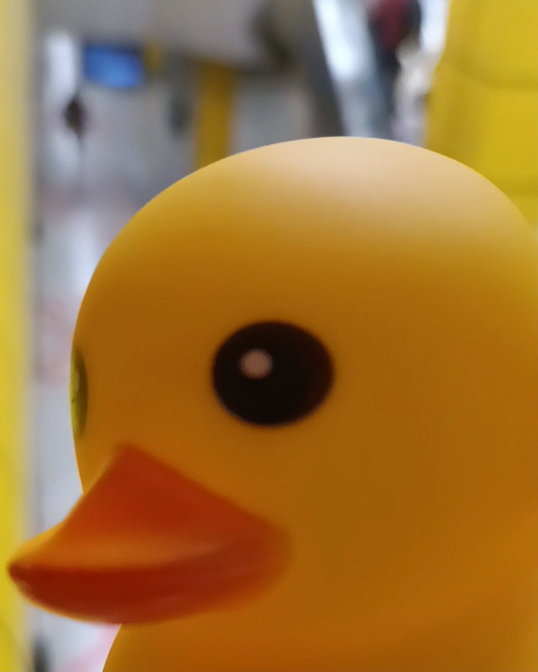 cctv_obstruction Object Detection Dataset by Worksite