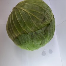 Cabbage Object Detection Dataset by yolov8