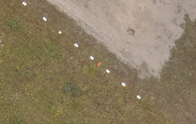 DeteccionMinas Object Detection Dataset by ObjectDetection