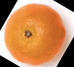 Oranges Object Detection Dataset and Pre-Trained Model by MikeyLamb