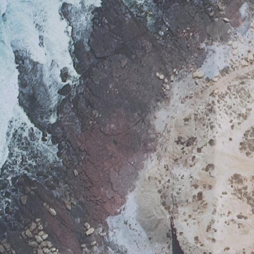 Beach Seg Semantic Segmentation Dataset by MikeyLamb