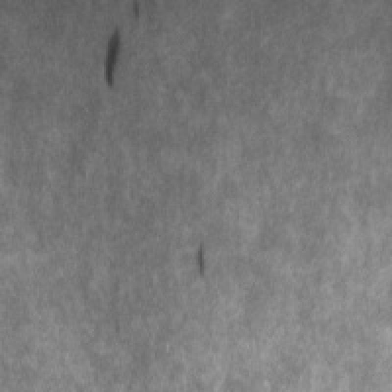 Neu Det Debug Object Detection Dataset And Pre Trained Model By School
