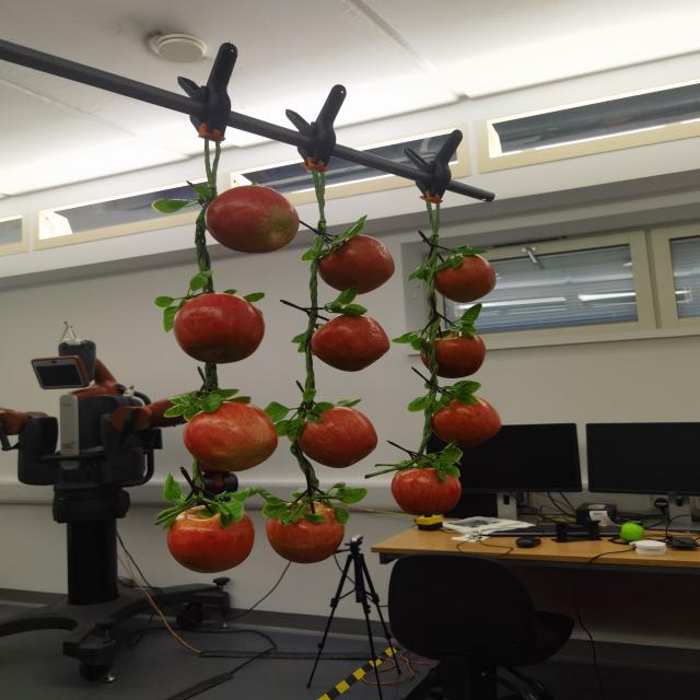 agraria_good_bad_oranges_apples Object Detection Dataset by ZOO