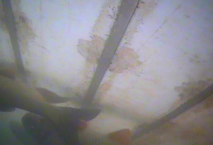 Final Classification Object Detection Dataset by C2 Cam03