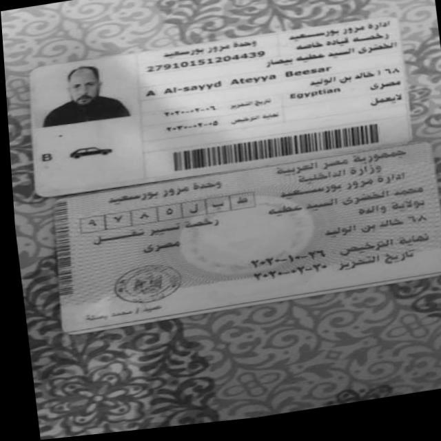 License Egypt (Vehicles-Driving) Object Detection Dataset and Pre ...