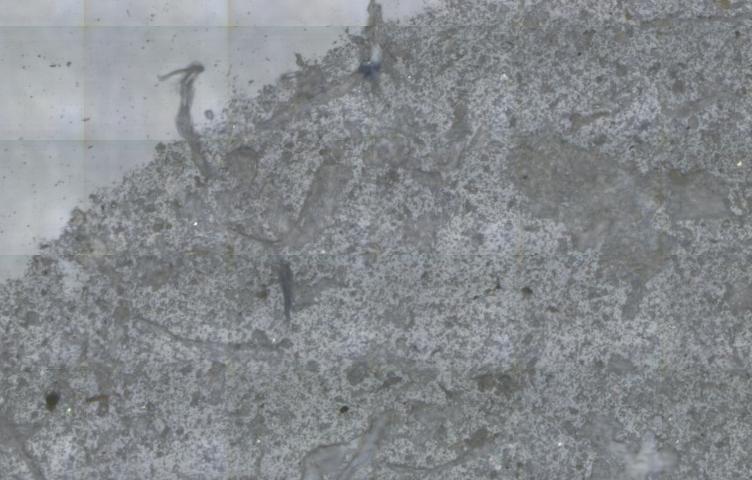 V2_uFTIR_allFilters_particles Instance Segmentation Model by uFTIR Particles