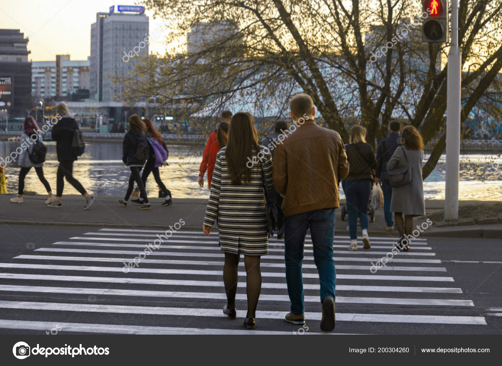 Vehicle And Pedestrian Object Detection Dataset And Pre Trained Model