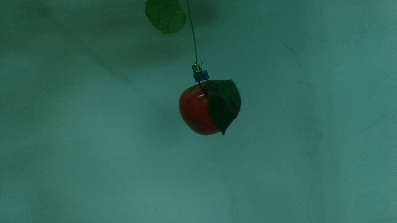 only apple Object Detection Dataset by agriculture