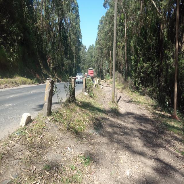 Od 2 Object Detection Dataset By Addis Ababa University